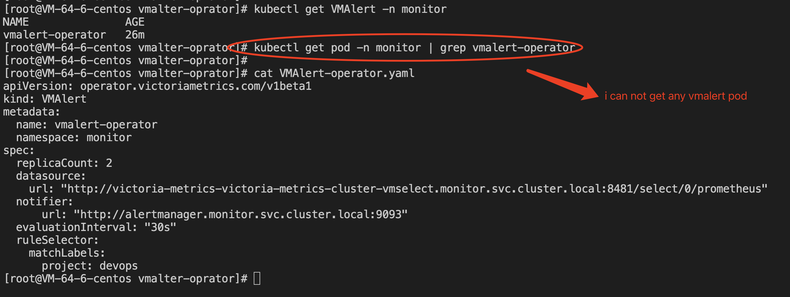 installing issue · Issue #3230 · VictoriaMetrics/VictoriaMetrics · GitHub