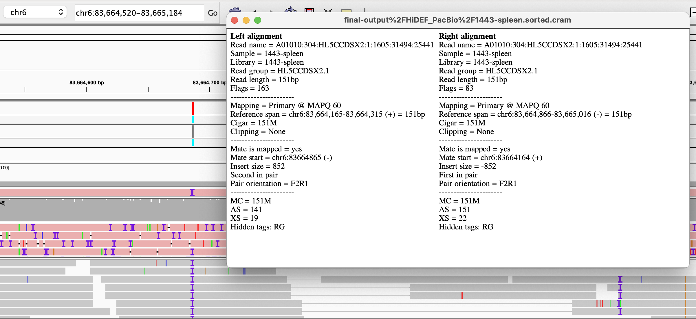 Bug in read info when doing view as read pairs · Issue #1077 · igvteam/igv · GitHub