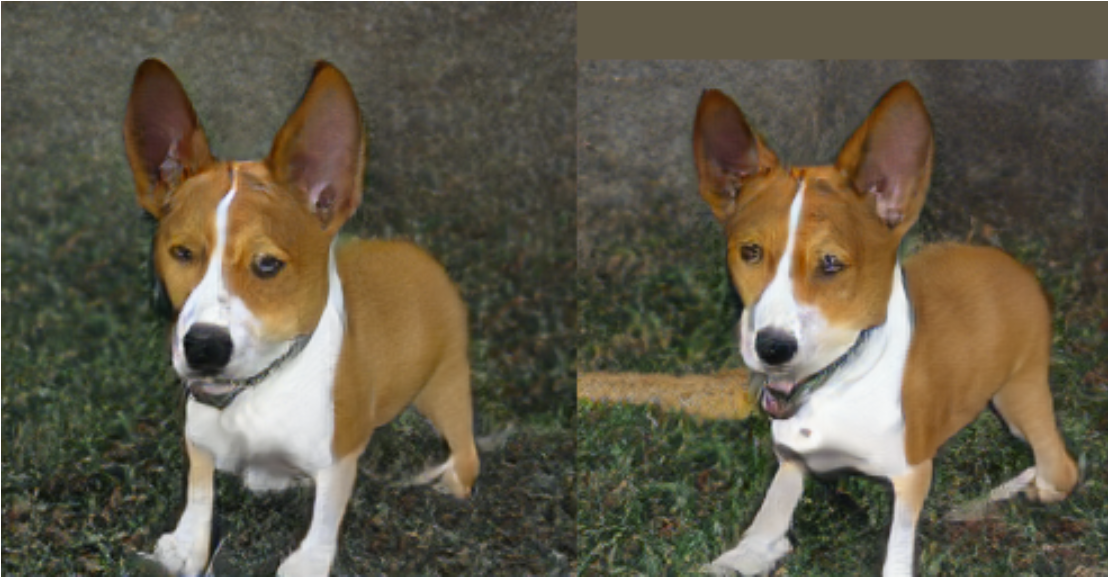 GitHub - Mohanned-Elkholy/BigGan-model-inversion-with-image-transformations