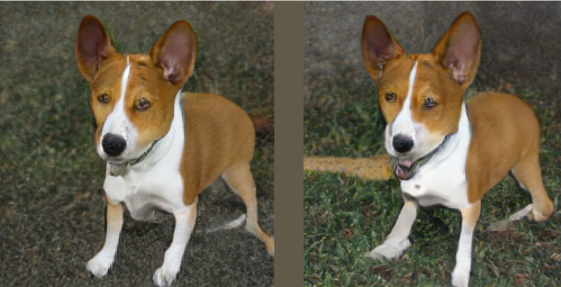 GitHub - Mohanned-Elkholy/BigGan-model-inversion-with-image-transformations