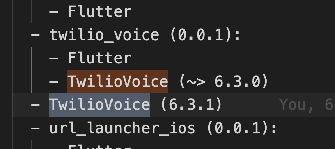 "Duplicate plugin key: twilio_voice" · Issue #119 · cybex-dev/twilio_voice · GitHub