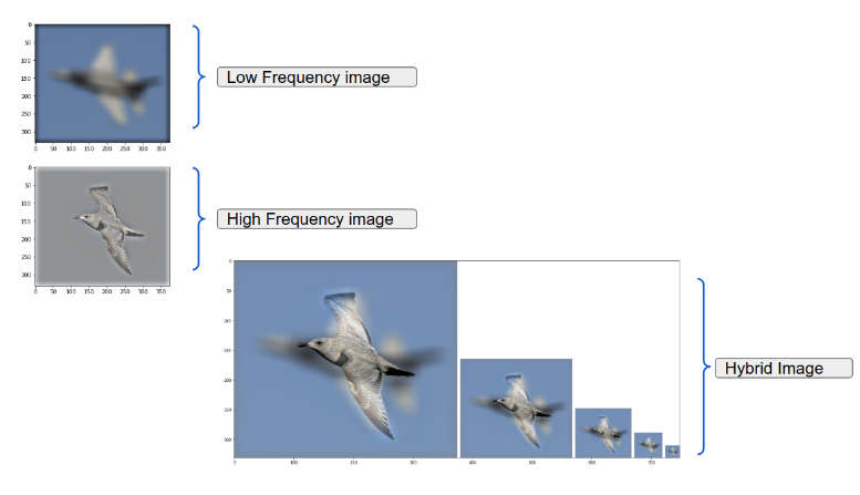 GitHub - Bmoradi93/creating_hybrid_images_python