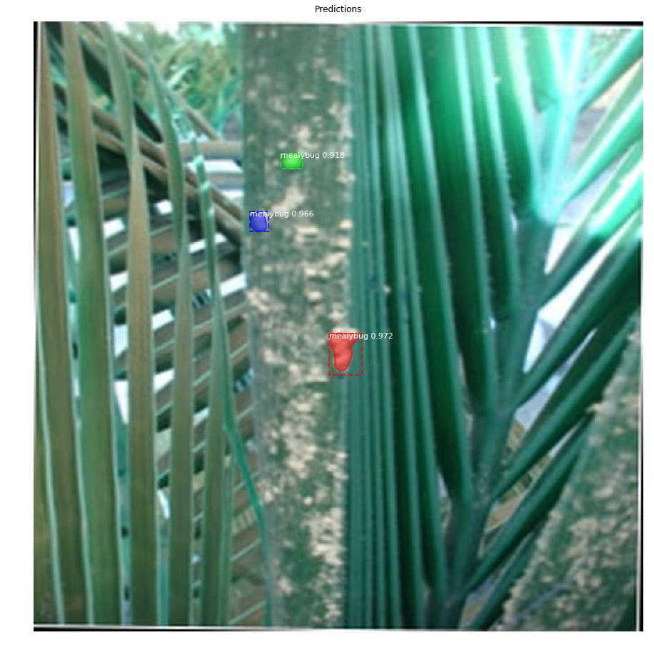 GitHub - saisriteja/Mealy-bug-detection: This repository is about detecting mealy bug using mask ...