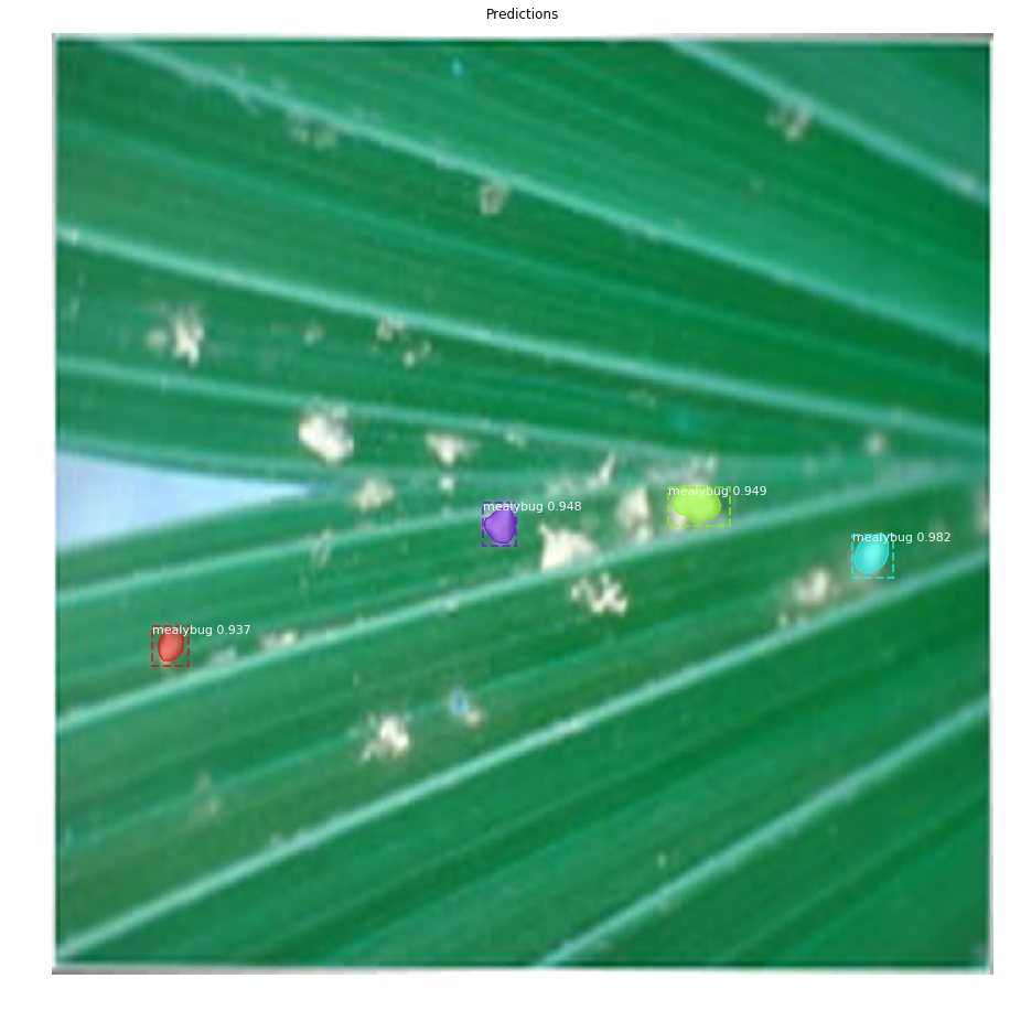 GitHub - saisriteja/Mealy-bug-detection: This repository is about detecting mealy bug using mask ...