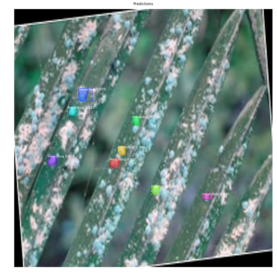 GitHub - saisriteja/Mealy-bug-detection: This repository is about detecting mealy bug using mask ...