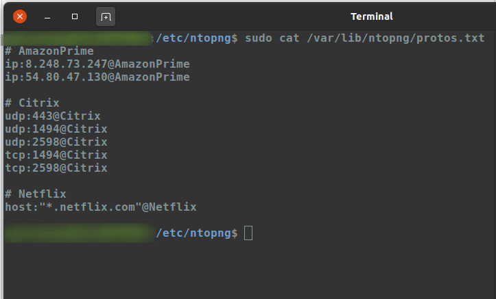 Custom application not set · Issue #4030 · ntop/ntopng · GitHub
