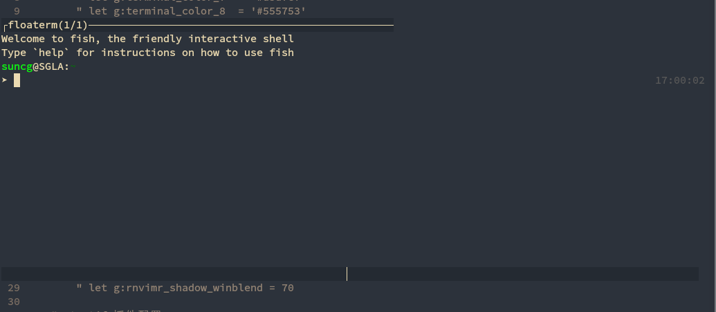 why is the floating terminal window‘s border broken？ · Issue #257 · voldikss/vim-floaterm · GitHub