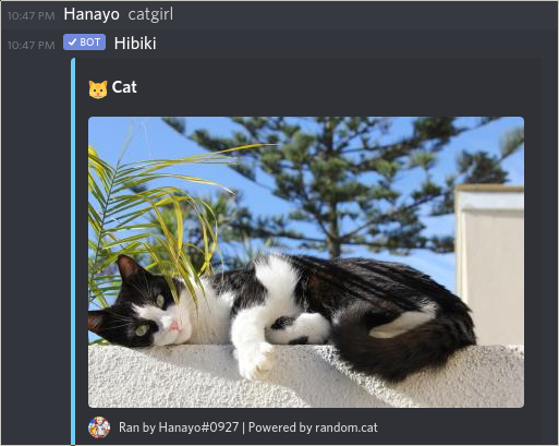 [BUG] h!catgirl invokes h!cat behavior · Issue #52 · espimarisa/hibiki · GitHub