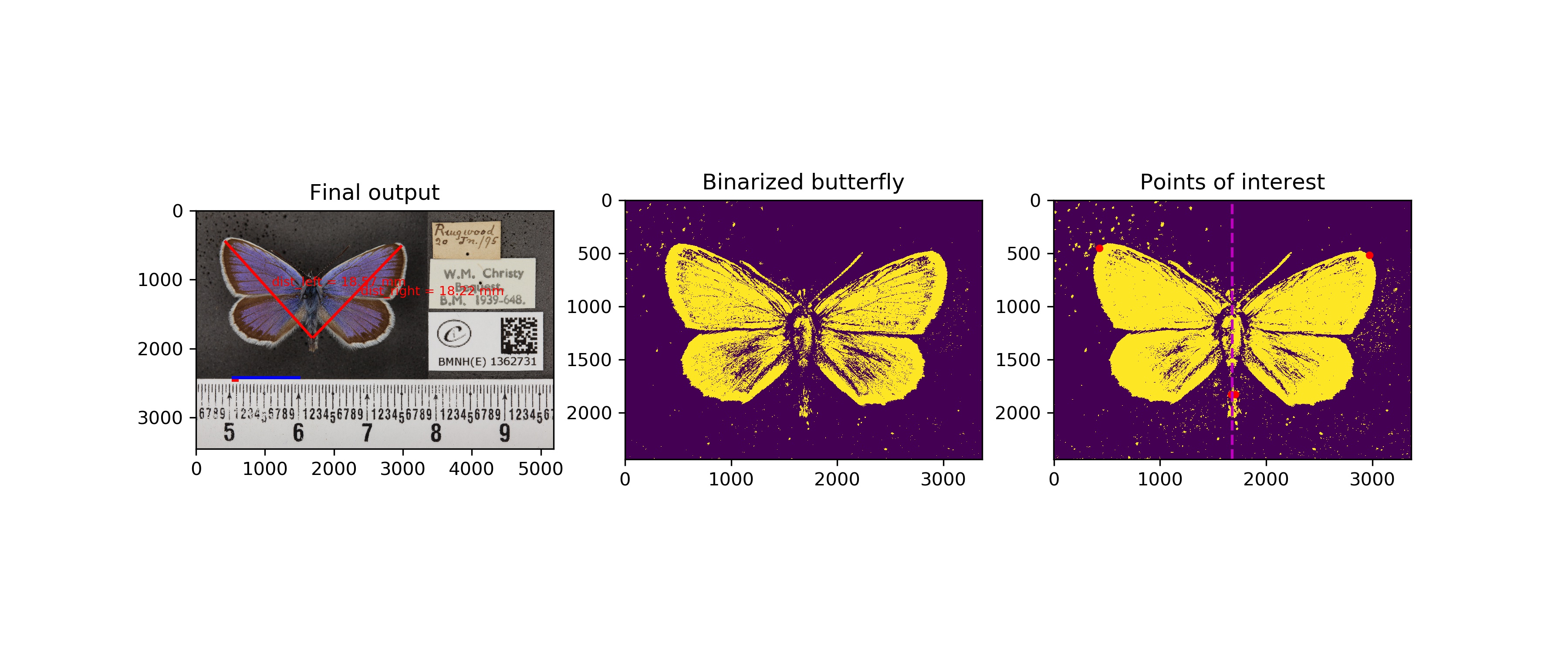 Blue butterflies are not correctly segmented · Issue #38 · machine-shop/mothra · GitHub