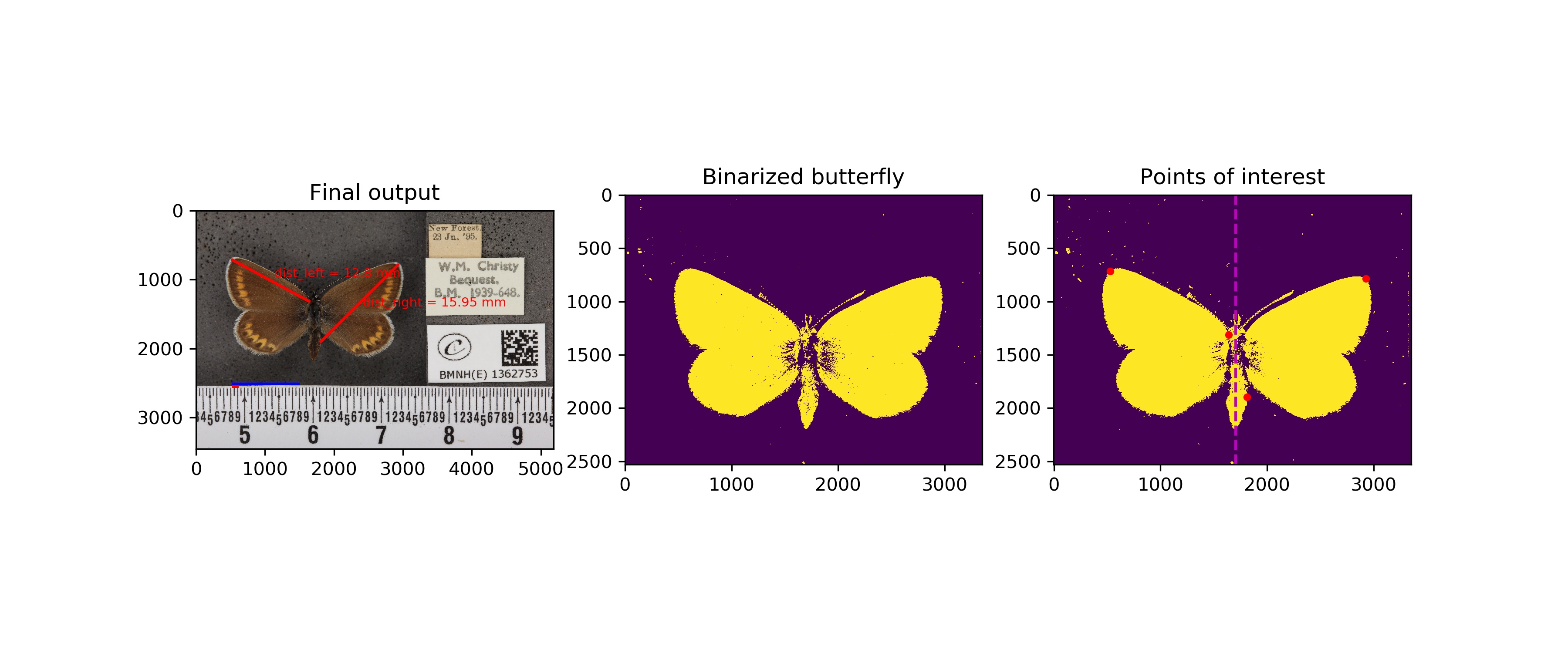 Blue butterflies are not correctly segmented · Issue #38 · machine-shop/mothra · GitHub