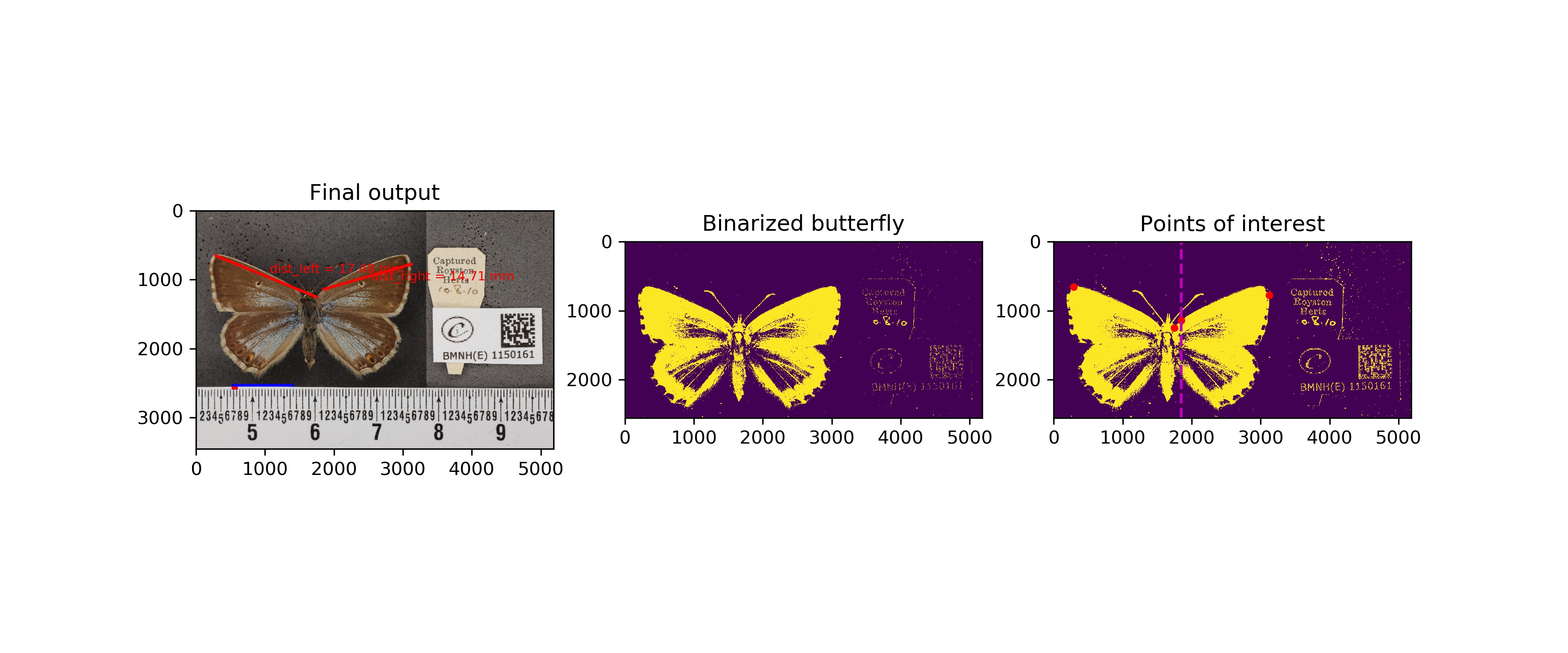 Blue butterflies are not correctly segmented · Issue #38 · machine-shop/mothra · GitHub
