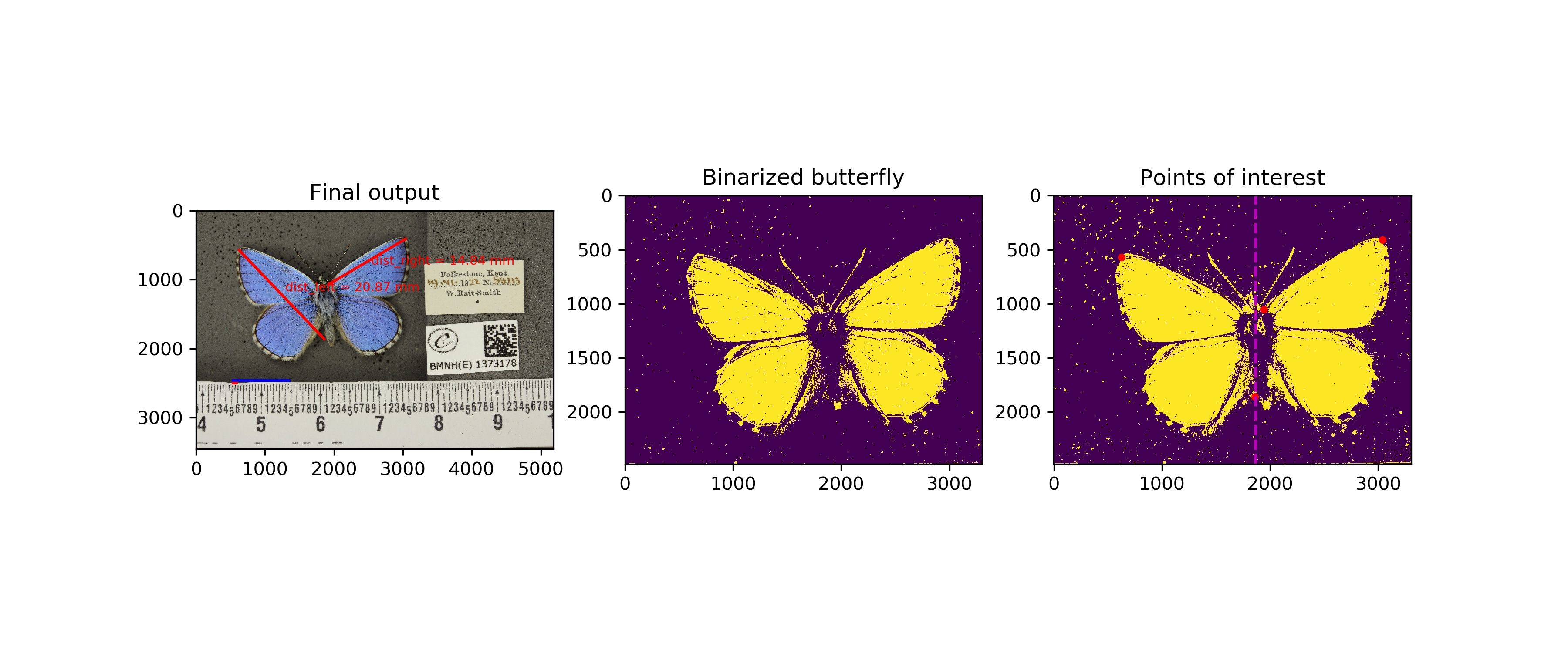 Blue butterflies are not correctly segmented · Issue #38 · machine-shop/mothra · GitHub