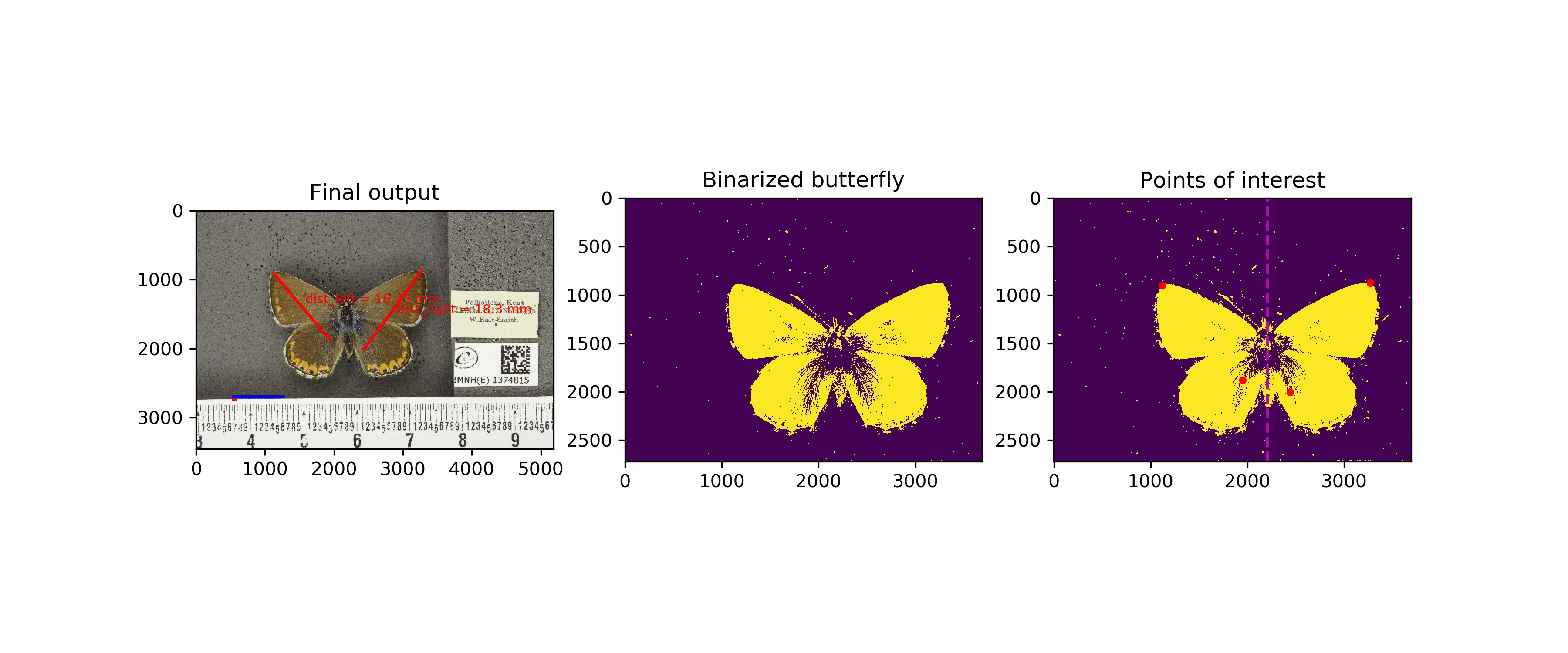 Blue butterflies are not correctly segmented · Issue #38 · machine-shop/mothra · GitHub