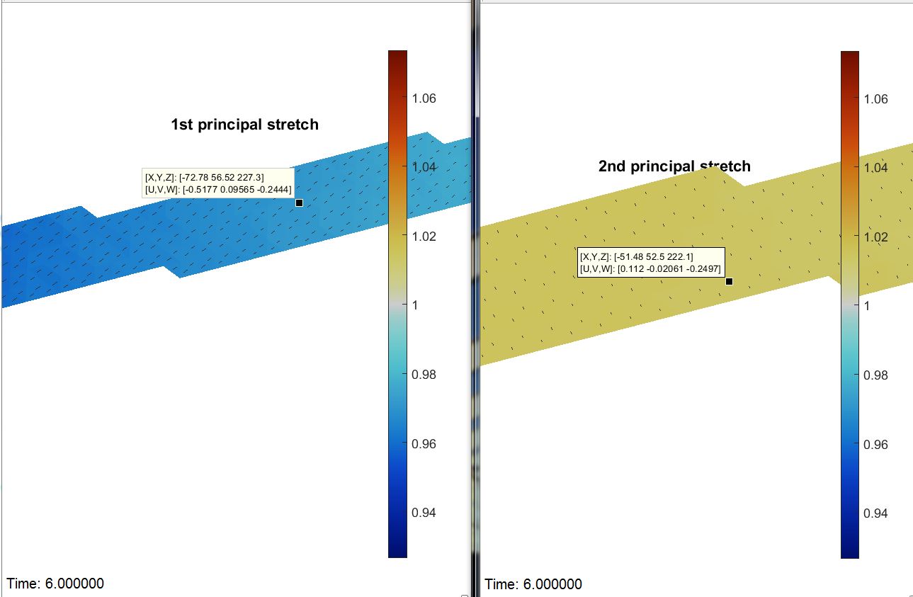 Correlating Stretch Direction and Strain · Issue #11 · MultiDIC/MultiDIC · GitHub