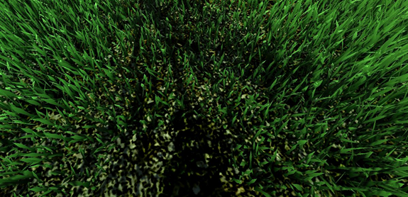 GitHub - TexBishop/ProceduralUnityScene