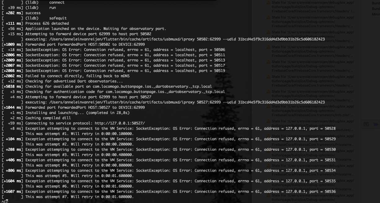 Flutter Run In Terminal Cannot Connect To Vm Service Connection Refused · Issue 3514 