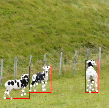 GitHub - thomasreynolds4881/Animal-Keypoint-Estimation: Animal ...