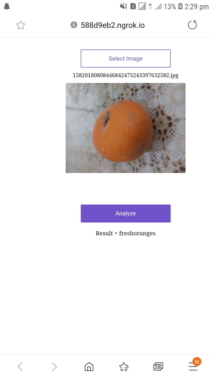 GitHub - M-M-Mujtaba/FreshorRotten: Image Classifier to identify Fresh or Rotten Apples, Bananas ...