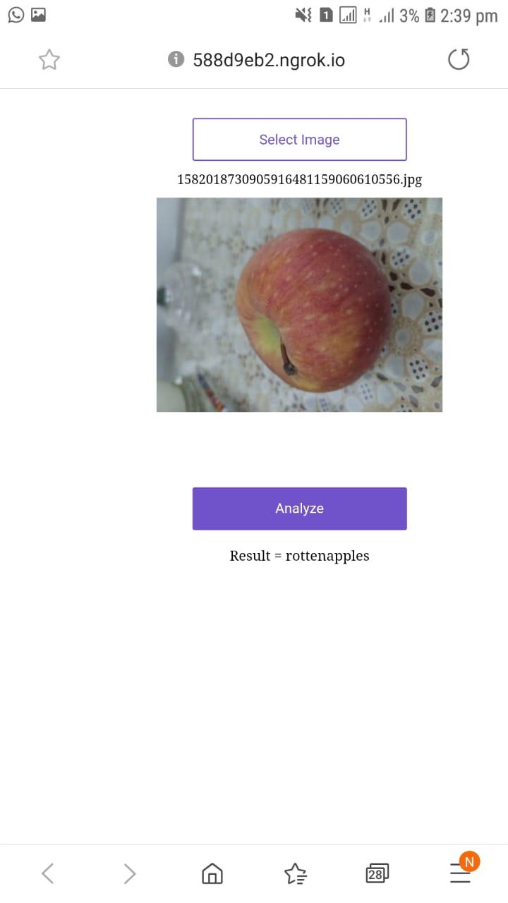 GitHub - M-M-Mujtaba/FreshorRotten: Image Classifier to identify Fresh or Rotten Apples, Bananas ...