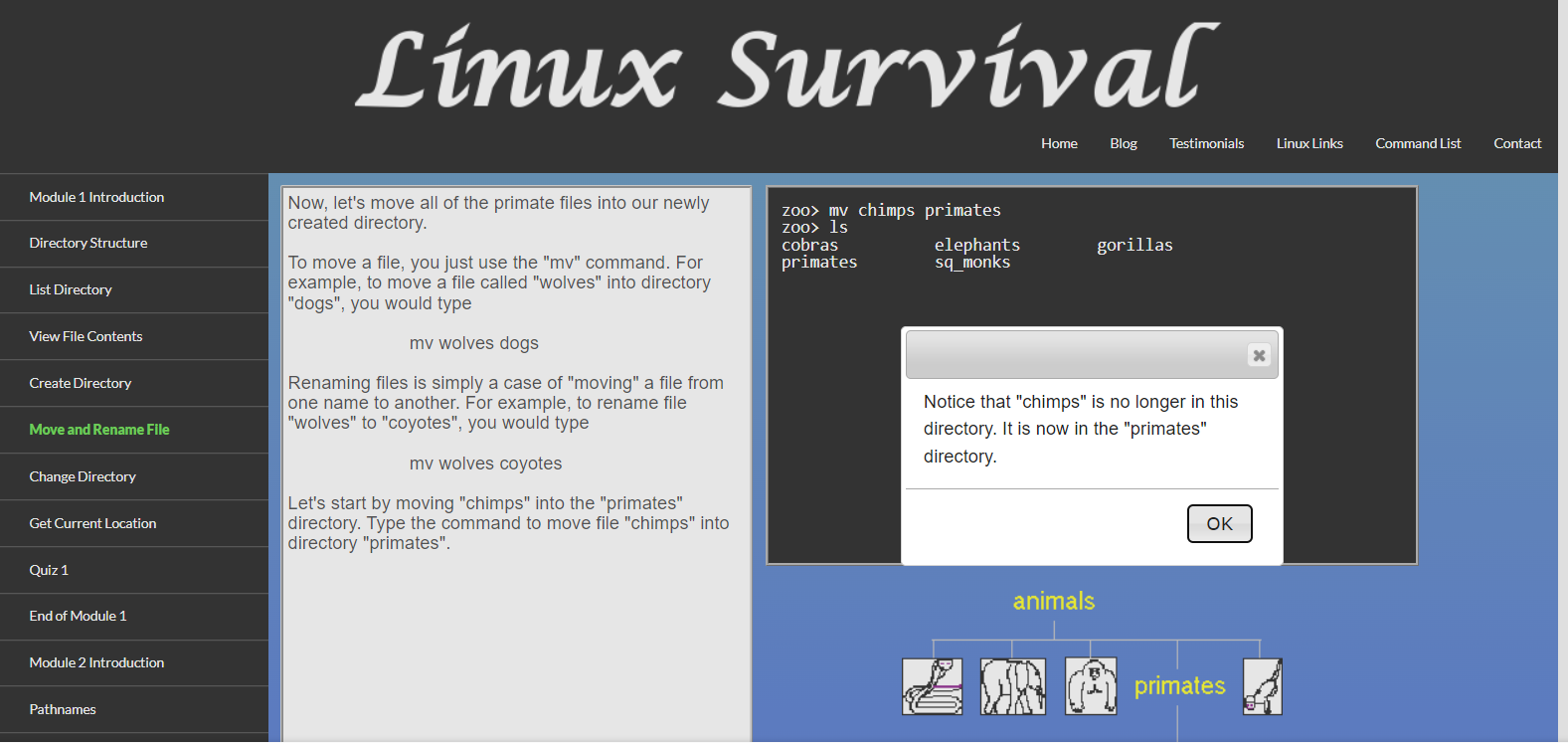 GitHub - illyaillya/kottans-frontend