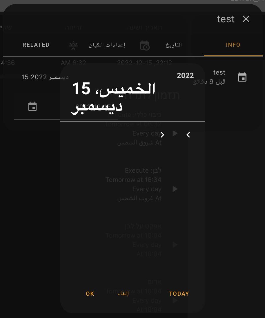 input_datatime Bug in RTL languages like HEBREW · Issue #14803 · home-assistant/frontend · GitHub