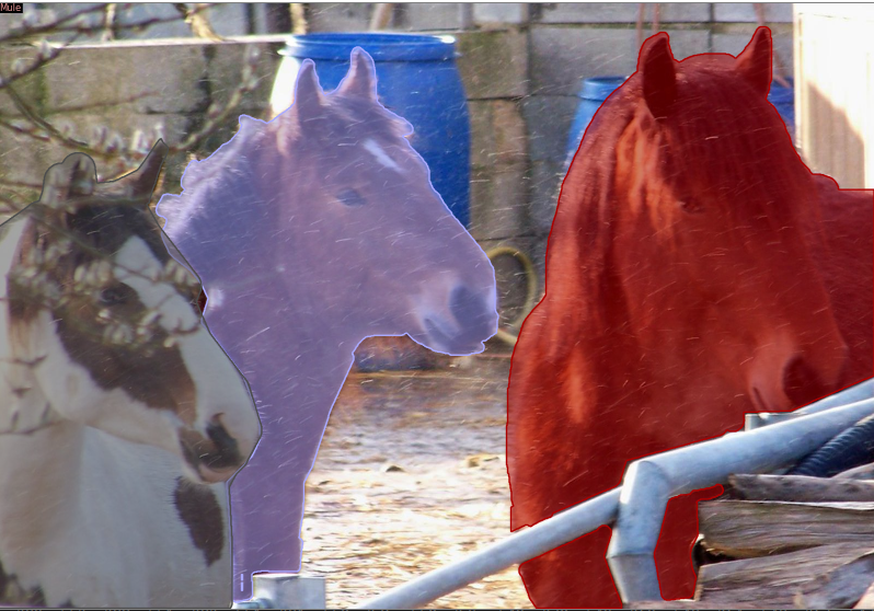 Visualizer.draw_dataset_dict(): can display segmentation masks but not bounding boxes · Issue ...