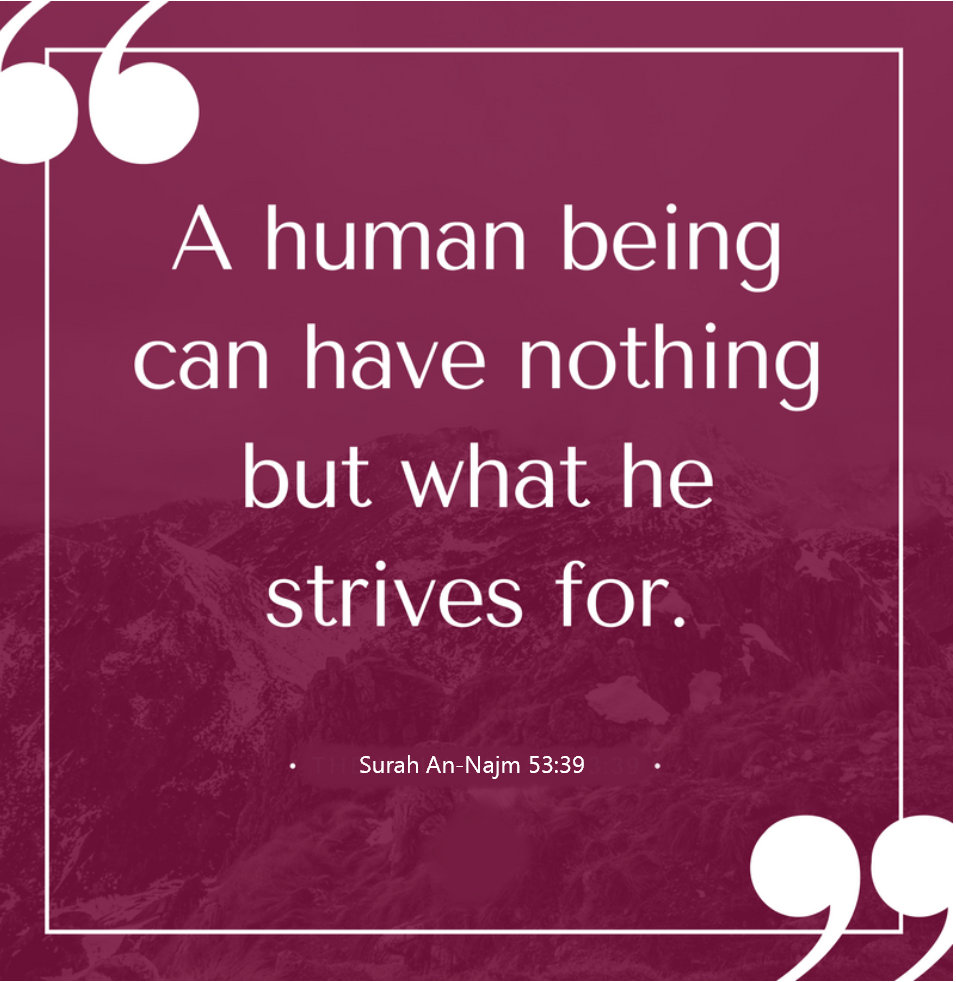 ArfaSaif (Arfa Saif) · GitHub