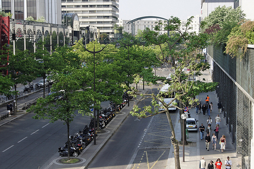 GitHub - antarpuneet-singh/cat-classification-using-hog-and-svm: Histogram of gradients can be ...