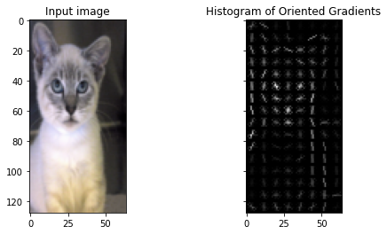 GitHub - antarpuneet-singh/cat-classification-using-hog-and-svm ...