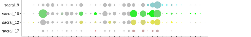 Dotplot split.by order · Issue #2336 · satijalab/seurat · GitHub