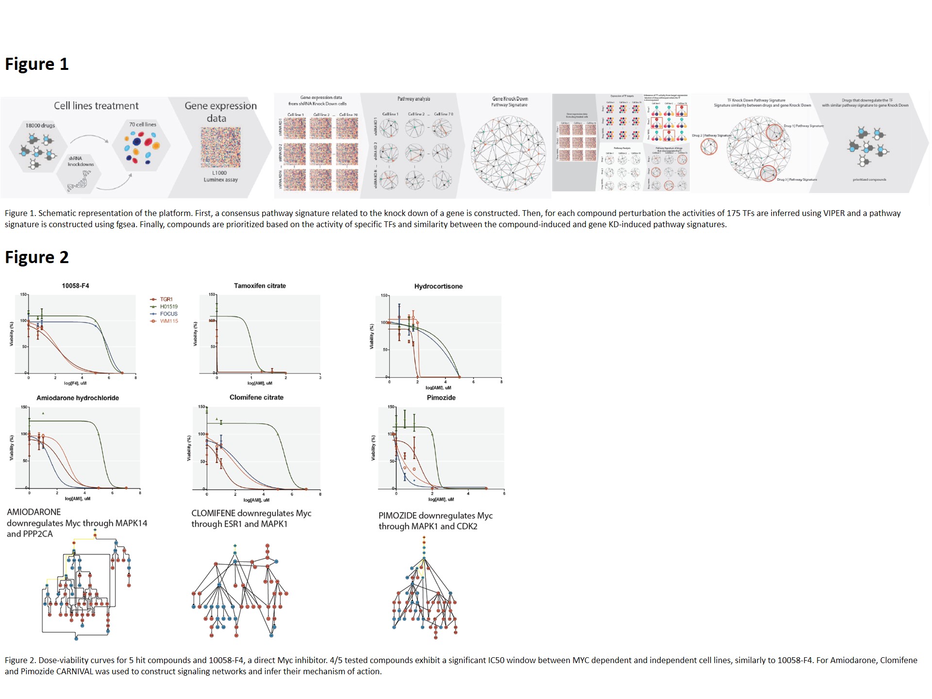 GitHub - BioSysLab/TF-repurposing: Drug repurposing based on TF-activity
