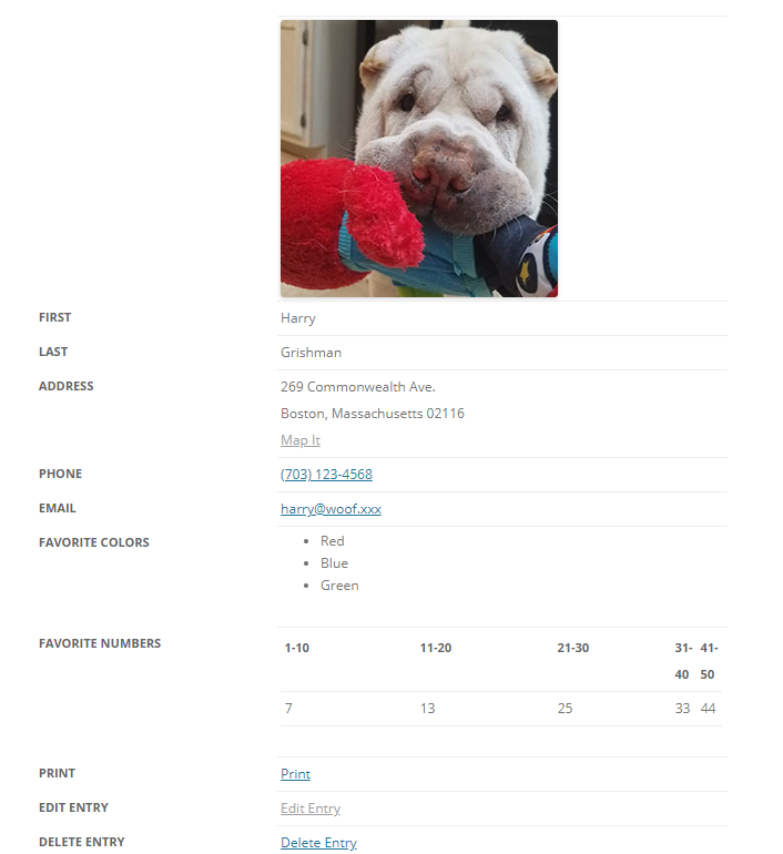 Embedded Entry Differs From Single Entry View · Issue 1314 · Gravitykit Gravityview · Github