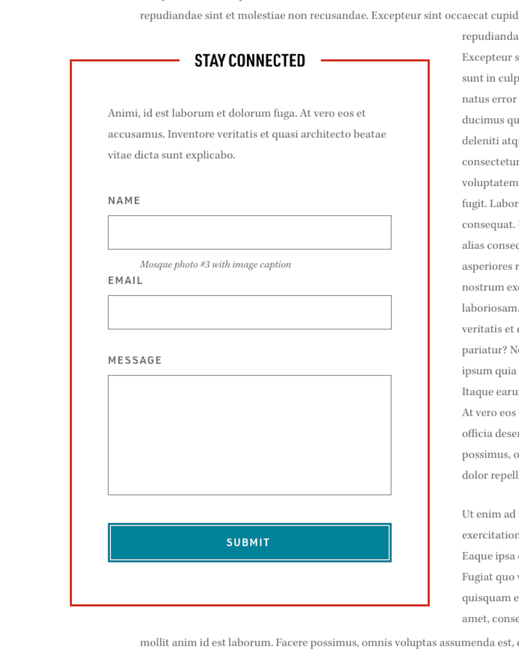 Style Form Block for Stay Connected and other CTAs · Issue #19 · INN/umbrella-caribbean · GitHub