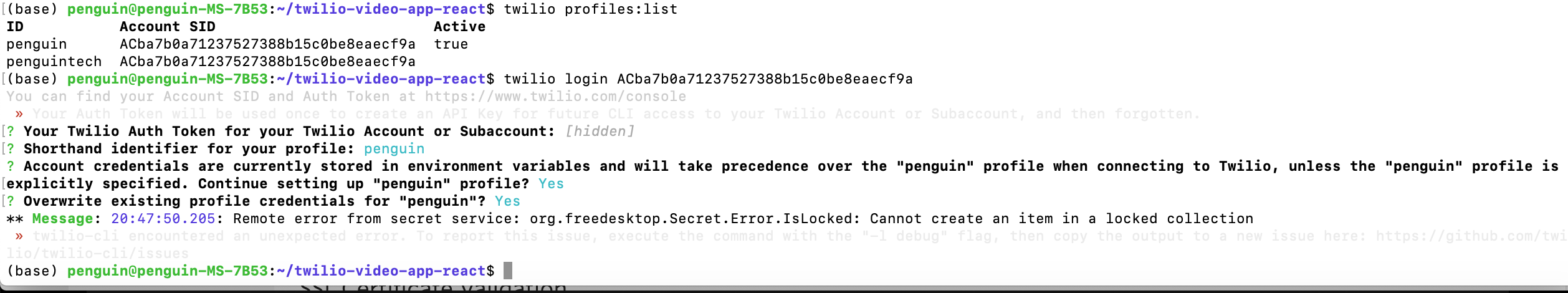 twilio rtc:apps:video:deploy --authentication passcode » Error code 20003 from Twilio ...