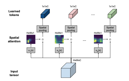TokenLearner: What Can 8 Learned Tokens Do for Images and Videos? · Issue #2 · One-Day-One-Paper ...