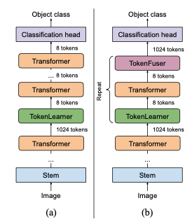 TokenLearner: What Can 8 Learned Tokens Do for Images and Videos? · Issue #2 · One-Day-One-Paper ...