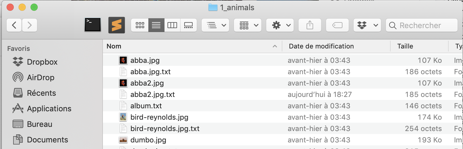 "template: image" has disappeared from files field options · Issue #2057 · getkirby/kirby · GitHub