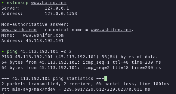 smartdns 返回的 ip 是最慢的 ip · Issue #976 · pymumu/smartdns · GitHub