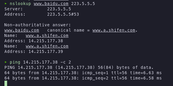 smartdns 返回的 ip 是最慢的 ip · Issue #976 · pymumu/smartdns · GitHub