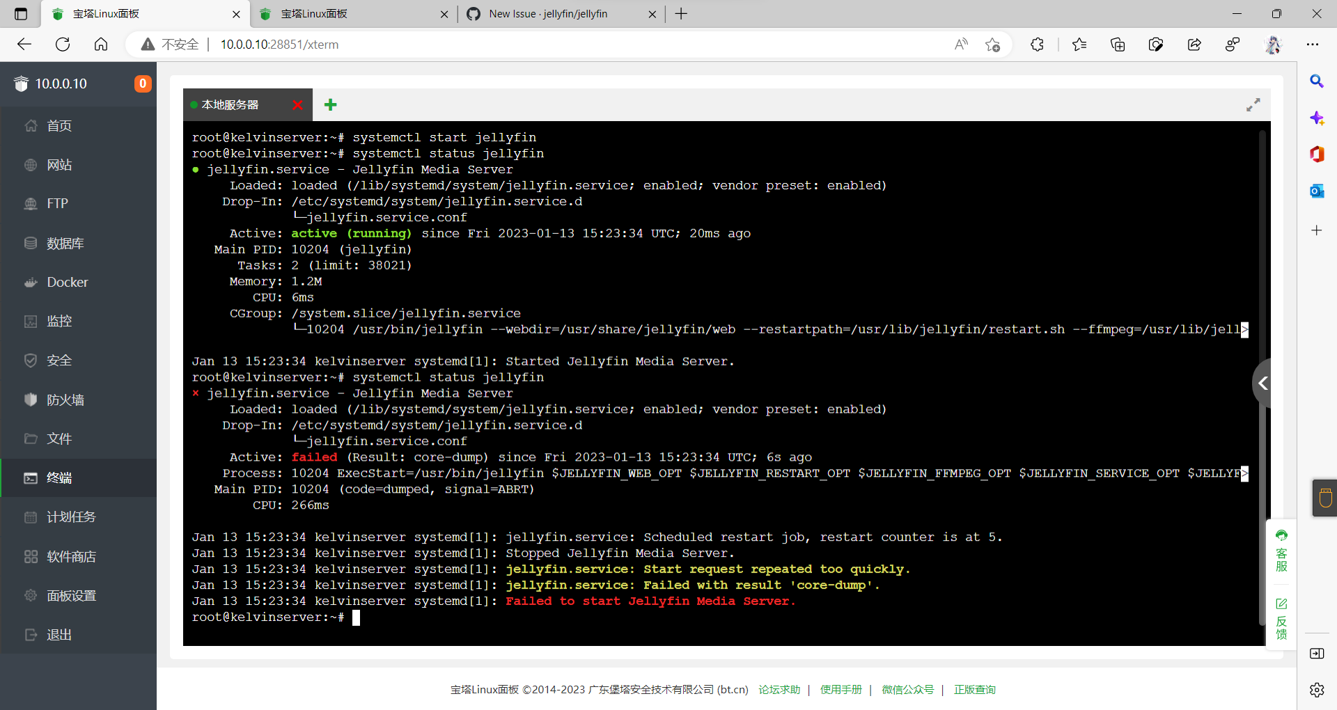 [Issue]: Getting a core-dump while trying to refresh my media library's metadata · Issue #9086 ...