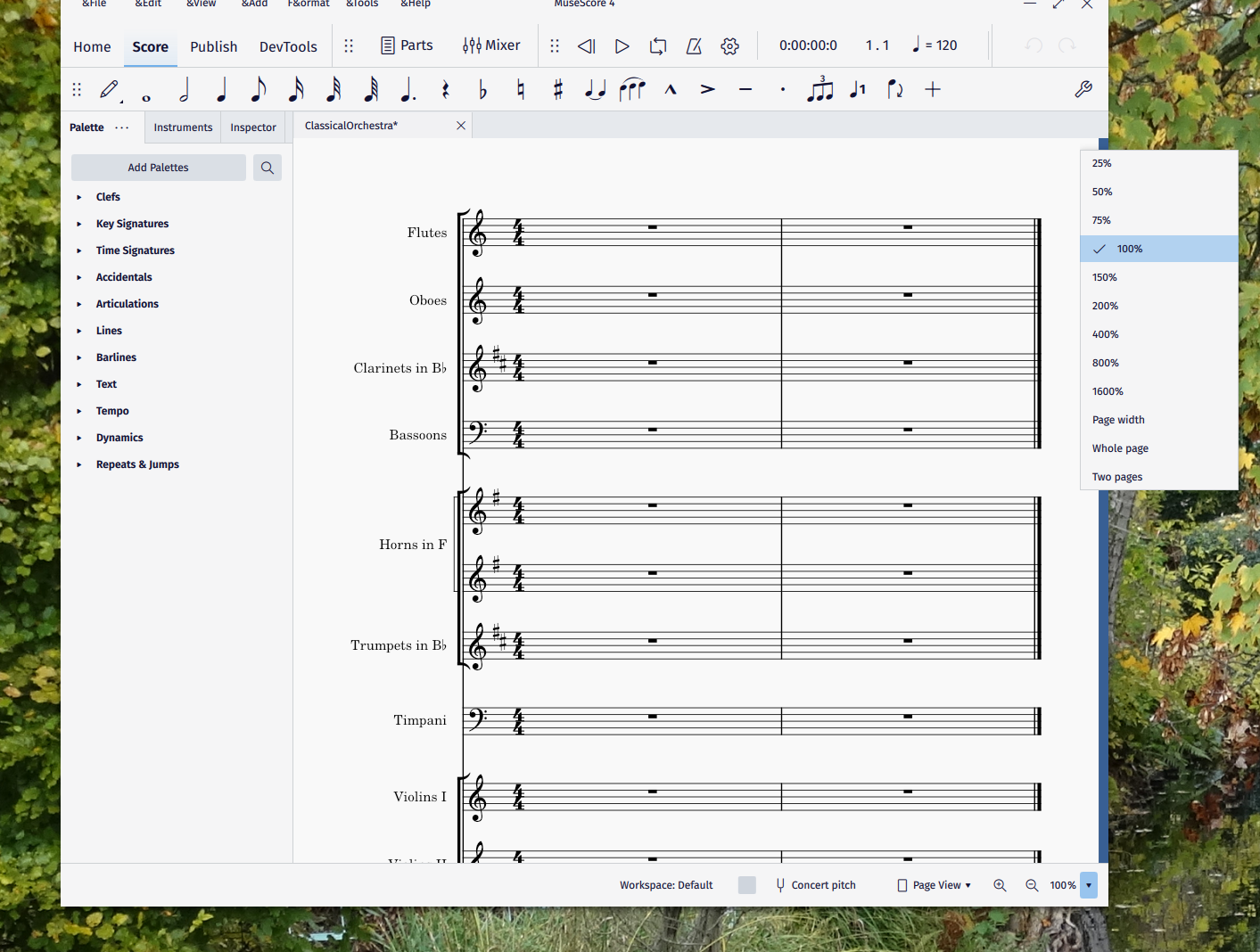 [MU4 Issue] Scaling menu too high · Issue #8243 · musescore/MuseScore · GitHub