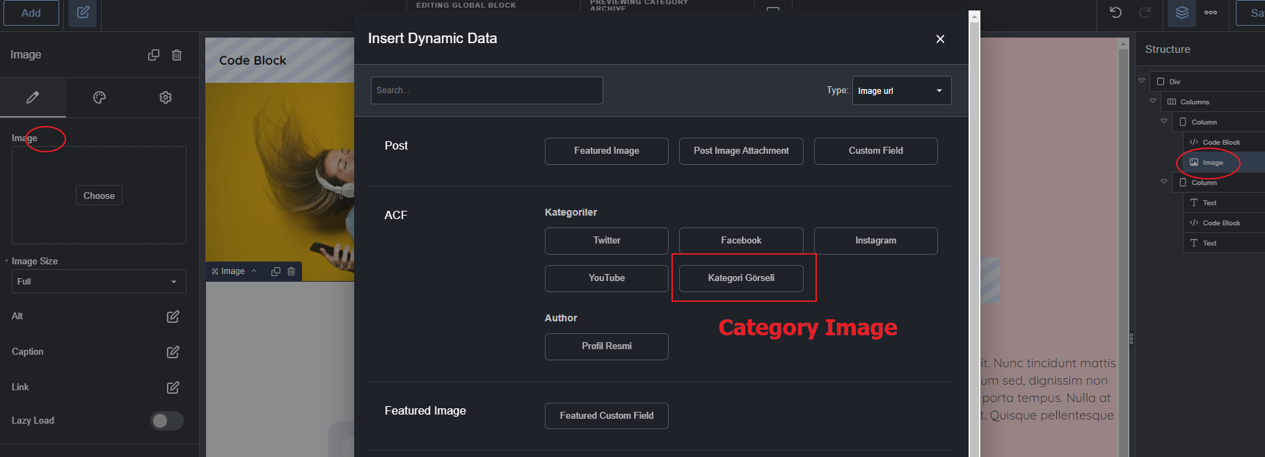 Acf field for image not working in category · Issue #613 · soflyy/breakdance-bugs · GitHub