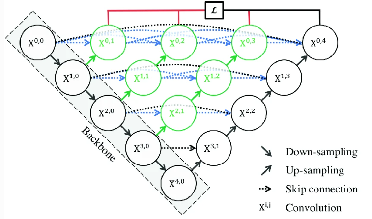 GitHub - CCChen19990820/PGT-ultrasound-image-segmentation-and ...