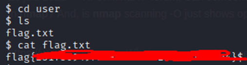 GitHub - UgoDasseleer/write-up-Intermediate-Nmap