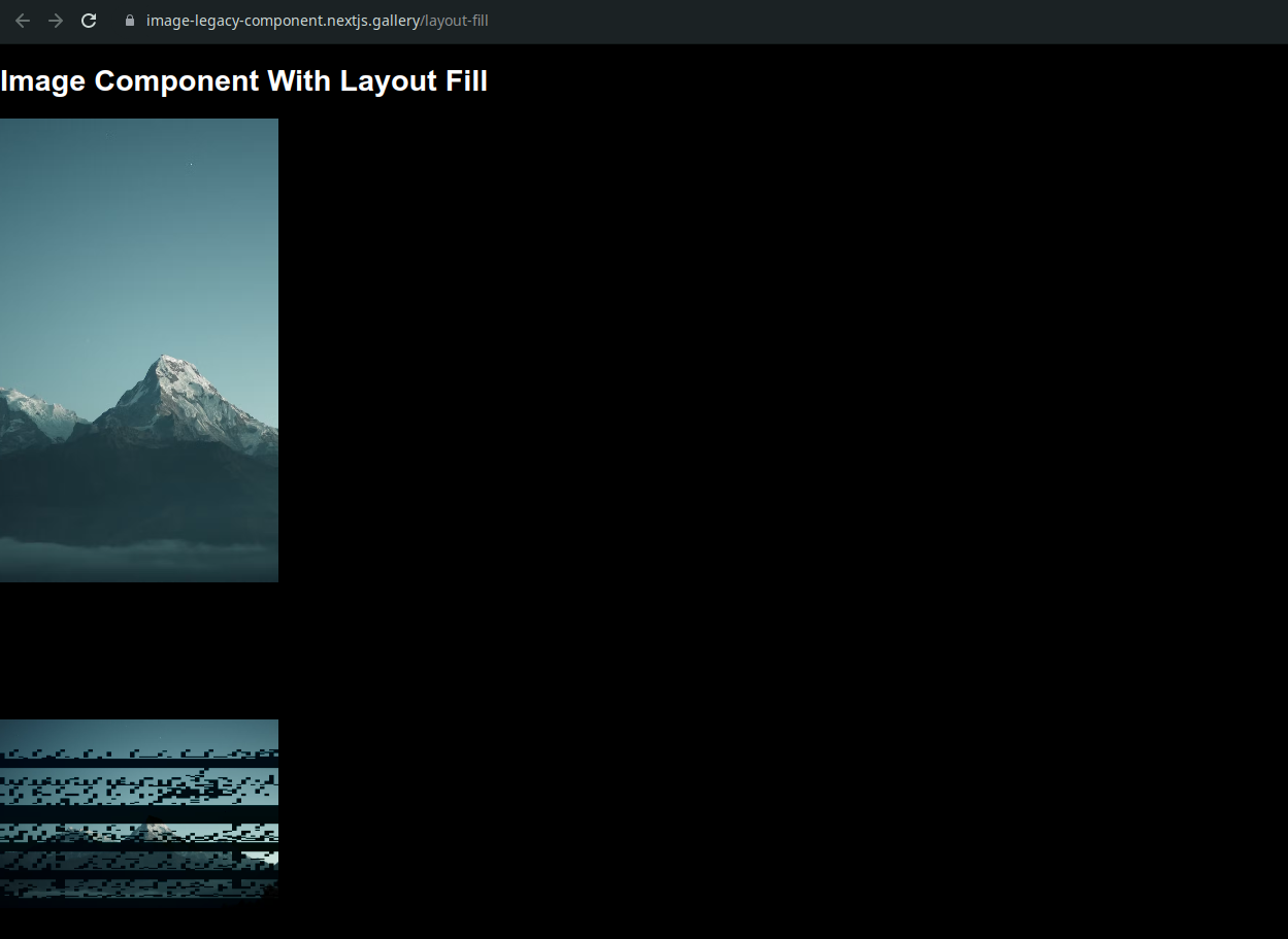 Sometimes Images are completely distorted for Next JS made websites on ...