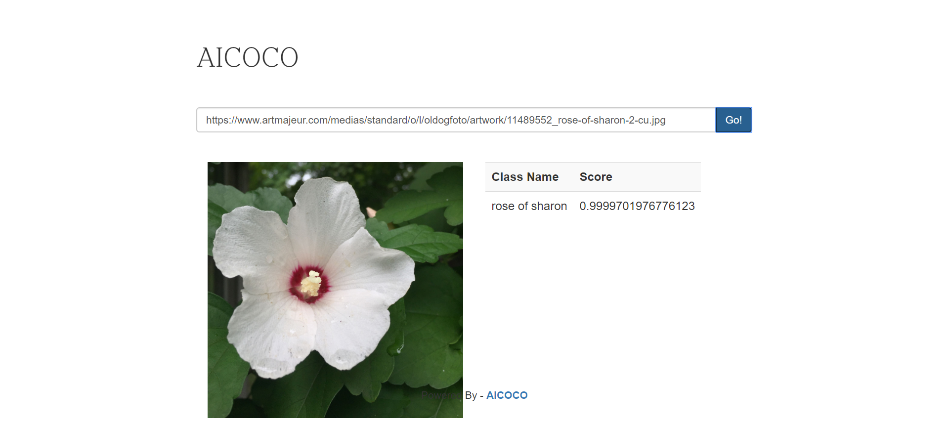 웹 최종 코드 · Issue #49 · sejongresearch/FlowerClassification · GitHub