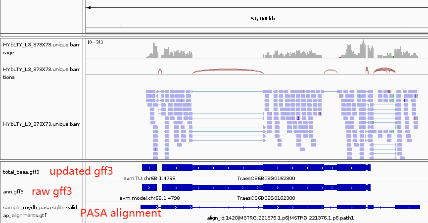 The Problem About Pasa Update Annotation · Issue 263 · Pasapipeline Pasapipeline · Github