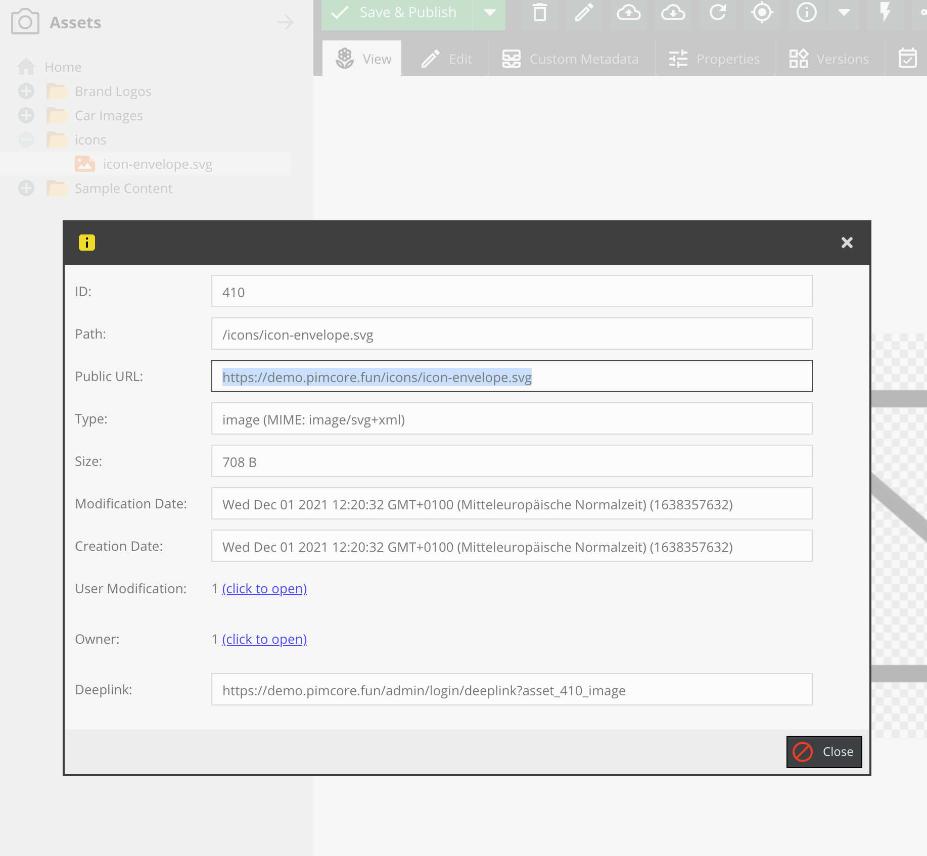 [Bug]: Cannot create "icons" folder in assets · Issue #10930 · pimcore/pimcore · GitHub