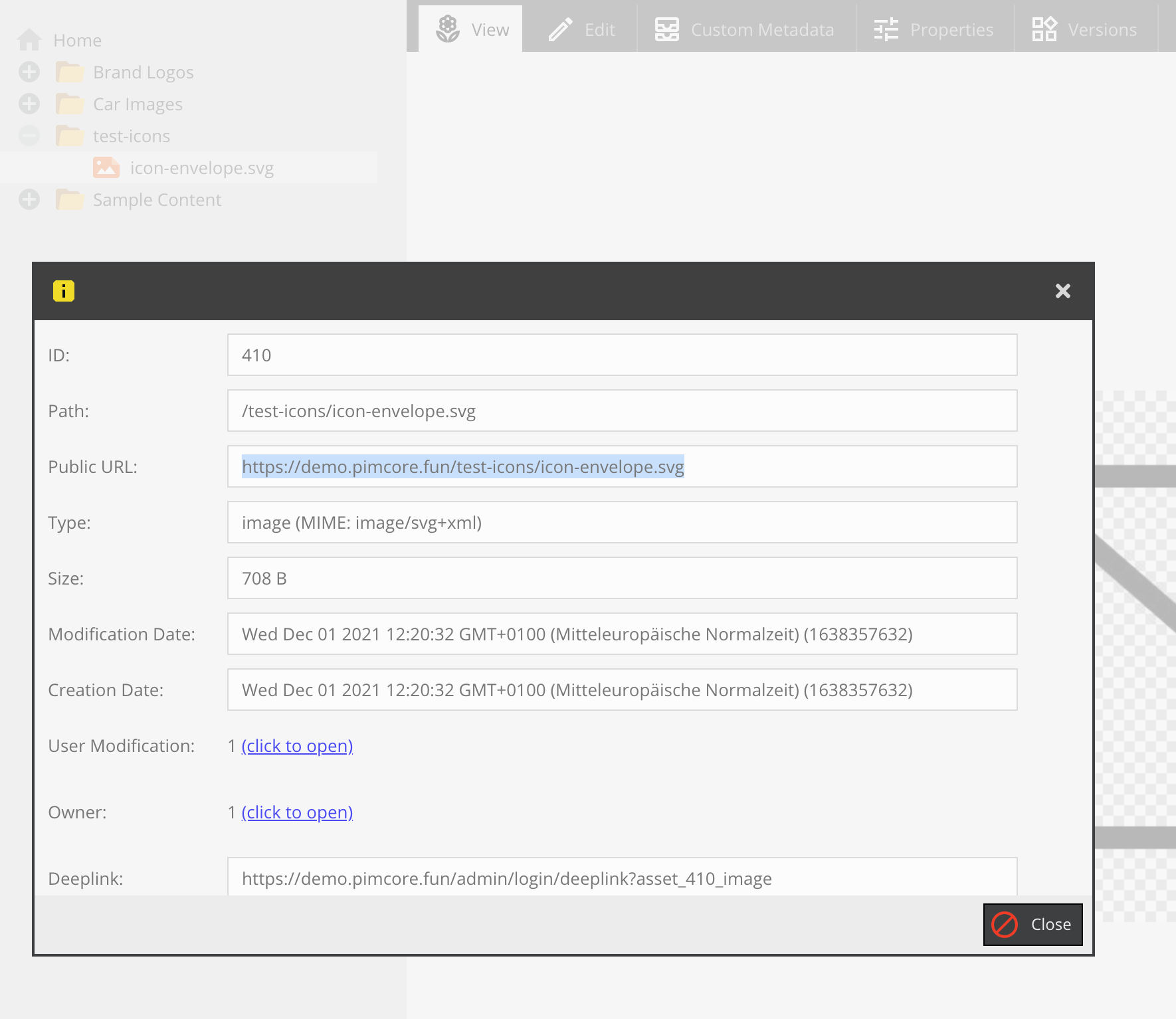 [Bug]: Cannot create "icons" folder in assets · Issue #10930 · pimcore/pimcore · GitHub