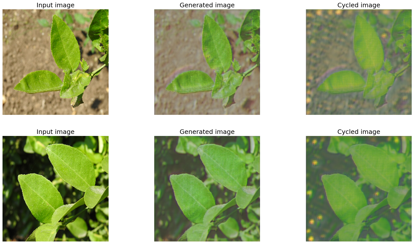 GitHub - zayed-haque/Cycle-GAN-data-augmentation-of-Lemon-Leaf: Usage ...
